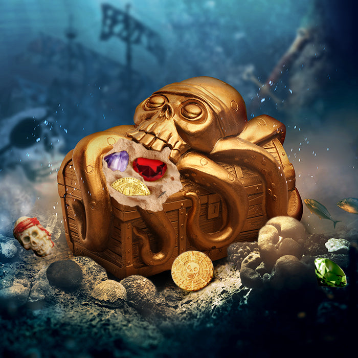 Unearth the Wonders of Paleontology with Piano Potato's Real Fossil Dig ...